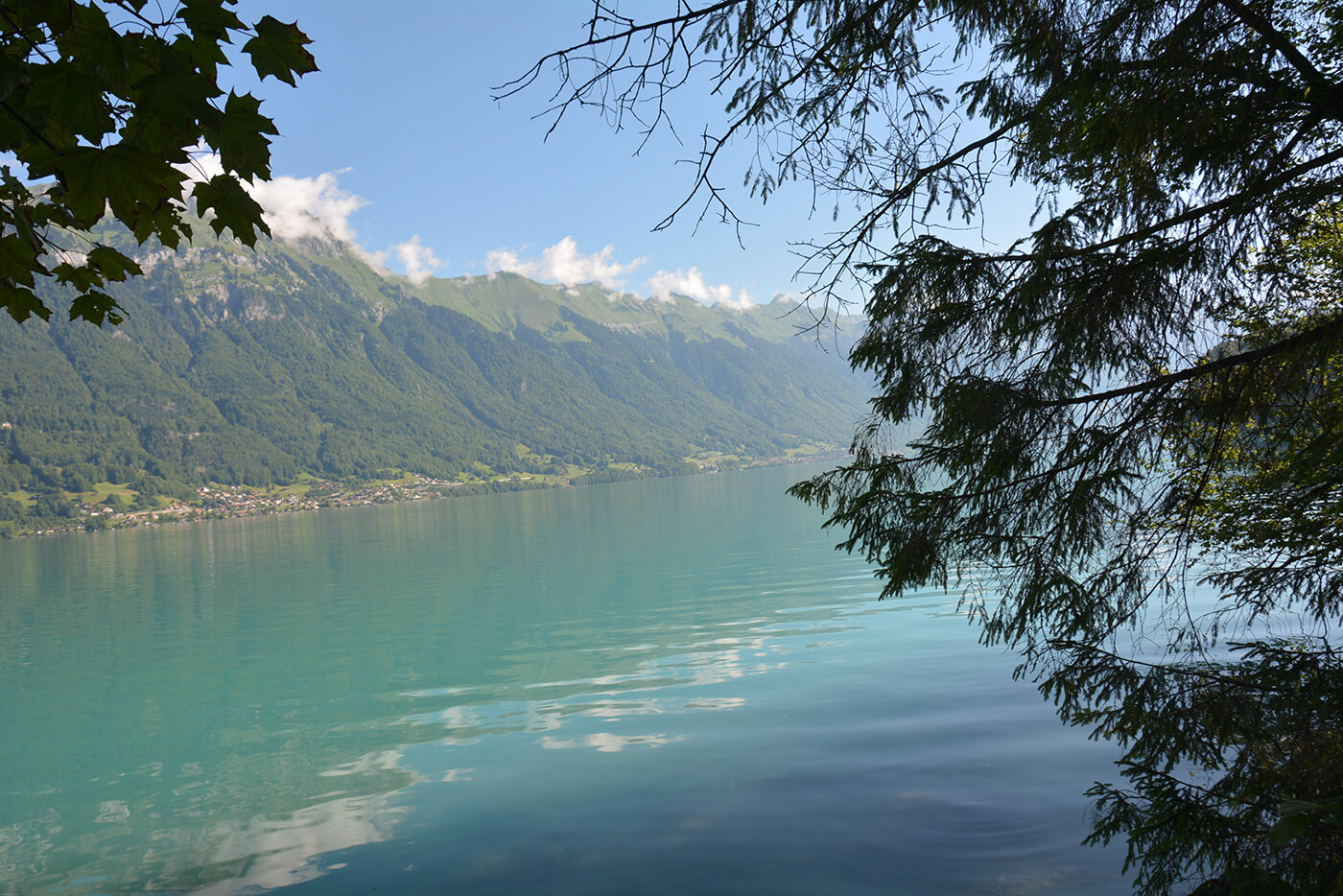 Actualités | HuGo Foundation | HuGo Foundation